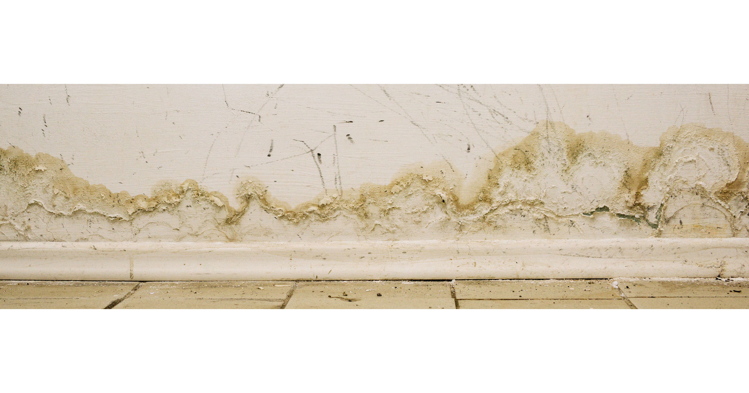 What Causes Rising Damp in Buildings?
