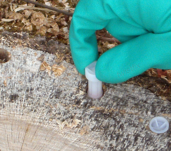 Tree Stump and Root Killer Plugs