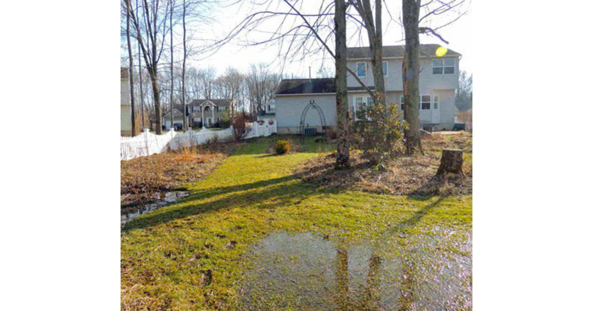 Heavy Rain + Saturated Ground = Rising Damp