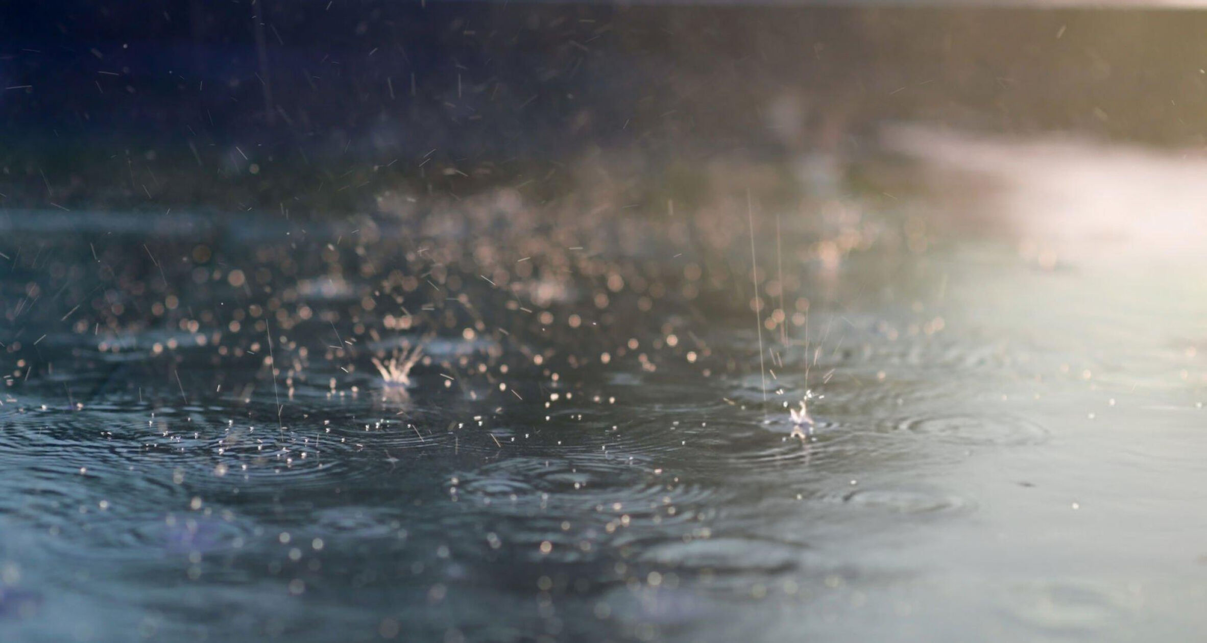 Wet Weather - Best Penetrating Damp Protection